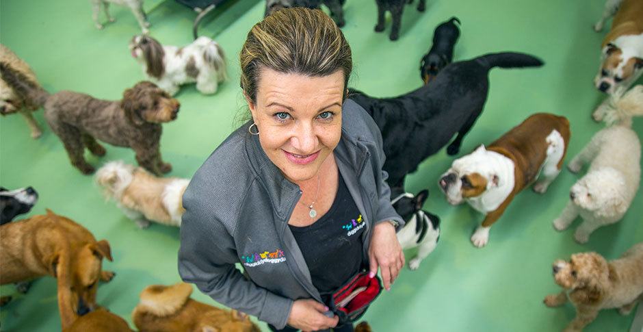 Watch: Angela's Dream Job journey to spend her days working with dogs ...